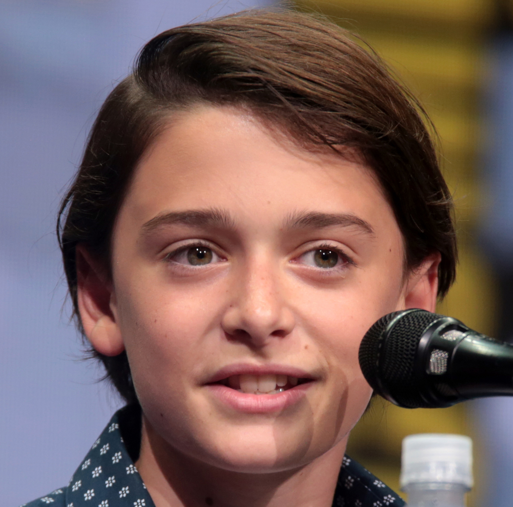 Noah Schnapp comes out - Pride Life Global